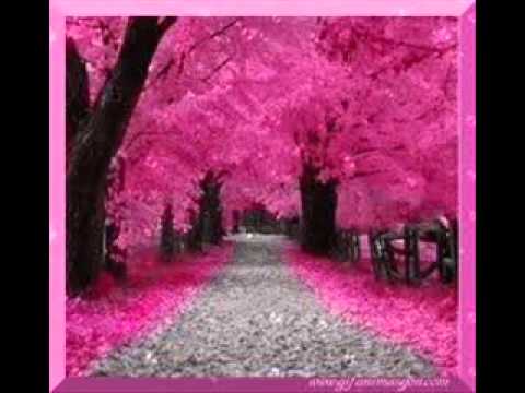 yorgun stayla2 sagım yalan solum yalan.wmv