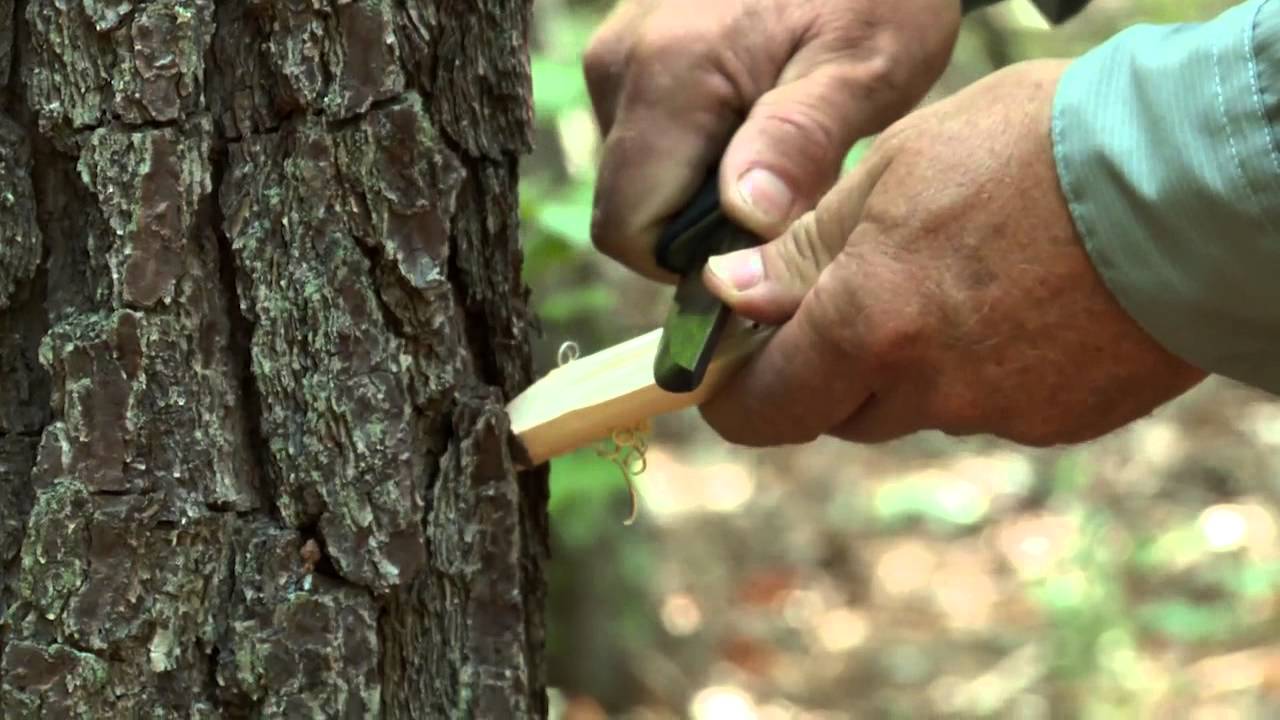 Total Outdoorsman: How to Carve a Fuzz Stick - YouTube