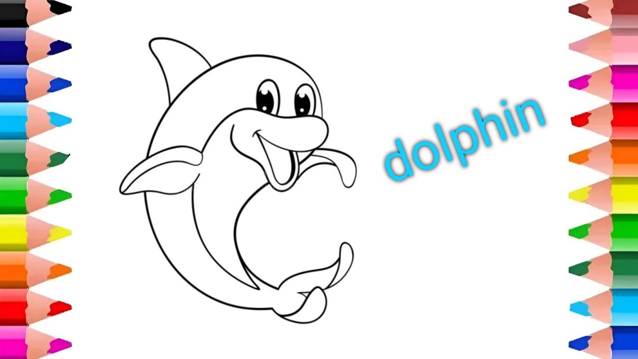 dolphin drawing | pencil drawing | 🎨color painting - YouTube