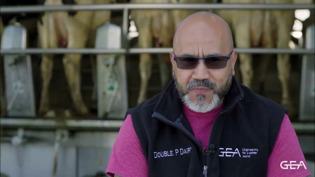 GEA Rotary Parlor Milking - YouTube