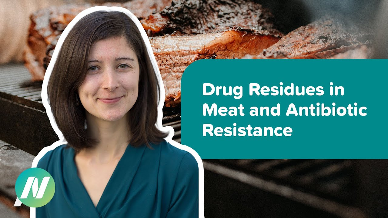 Drug Residues in Meat and Their Effect on Antibiotic Resistance - YouTube