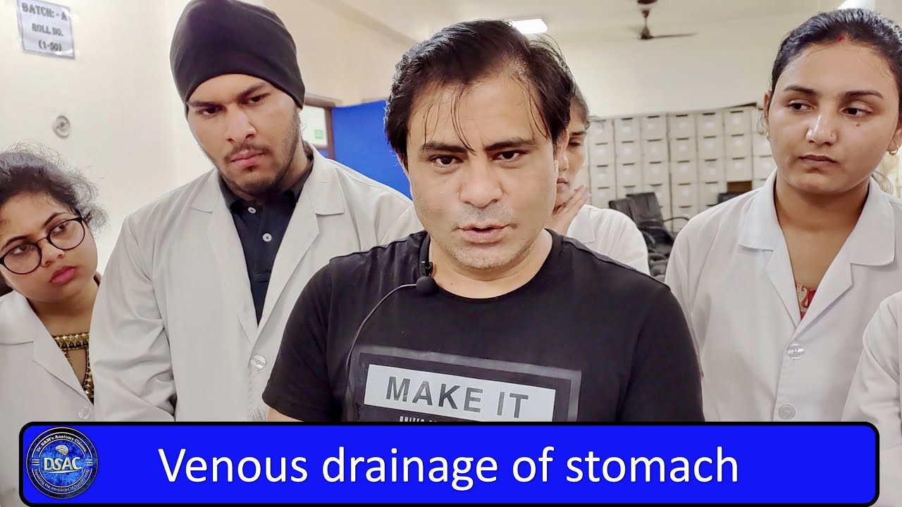 Venous drainage of stomach, Oesophageal varices, Blood supply of ...