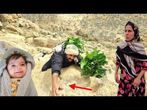 Vali’s Mountain Journey: A Nomadic Father Fighting for His Newborn 👶😰🏔