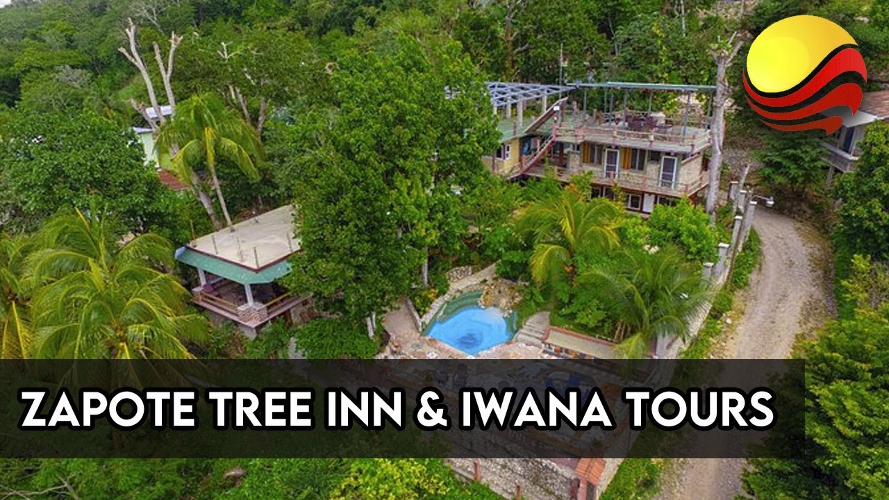 Canal Maro presenta: Hotel Zapote Tree Inn & Iwana Tours - YouTube