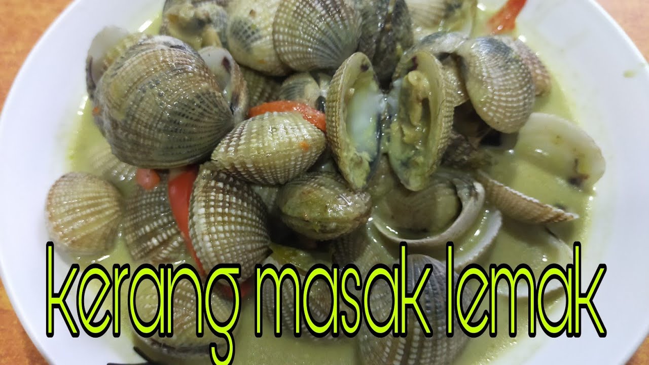 Resepi kerang masak lemak - YouTube