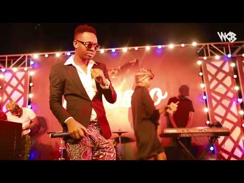 lavalava - Live performance