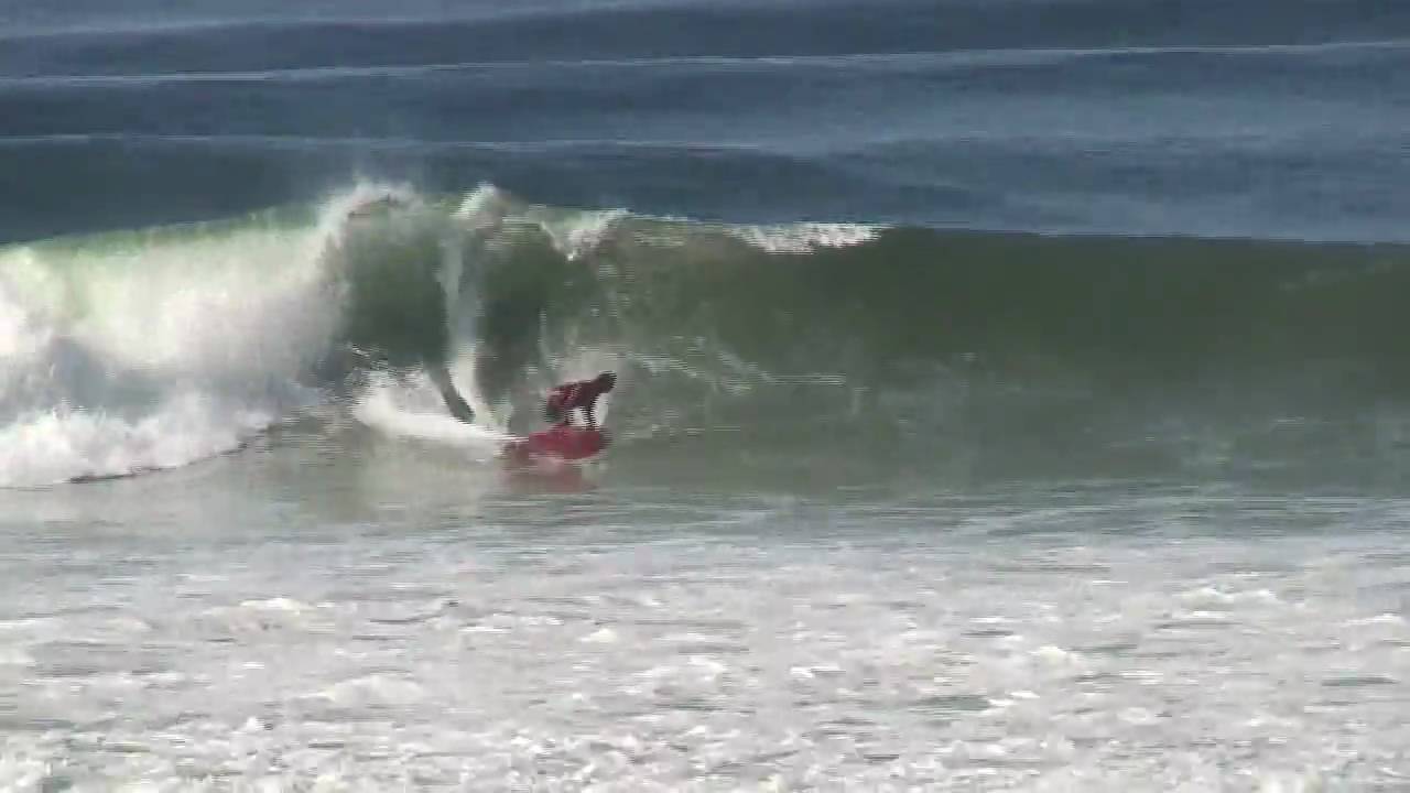 longboard. Damien Castera - YouTube