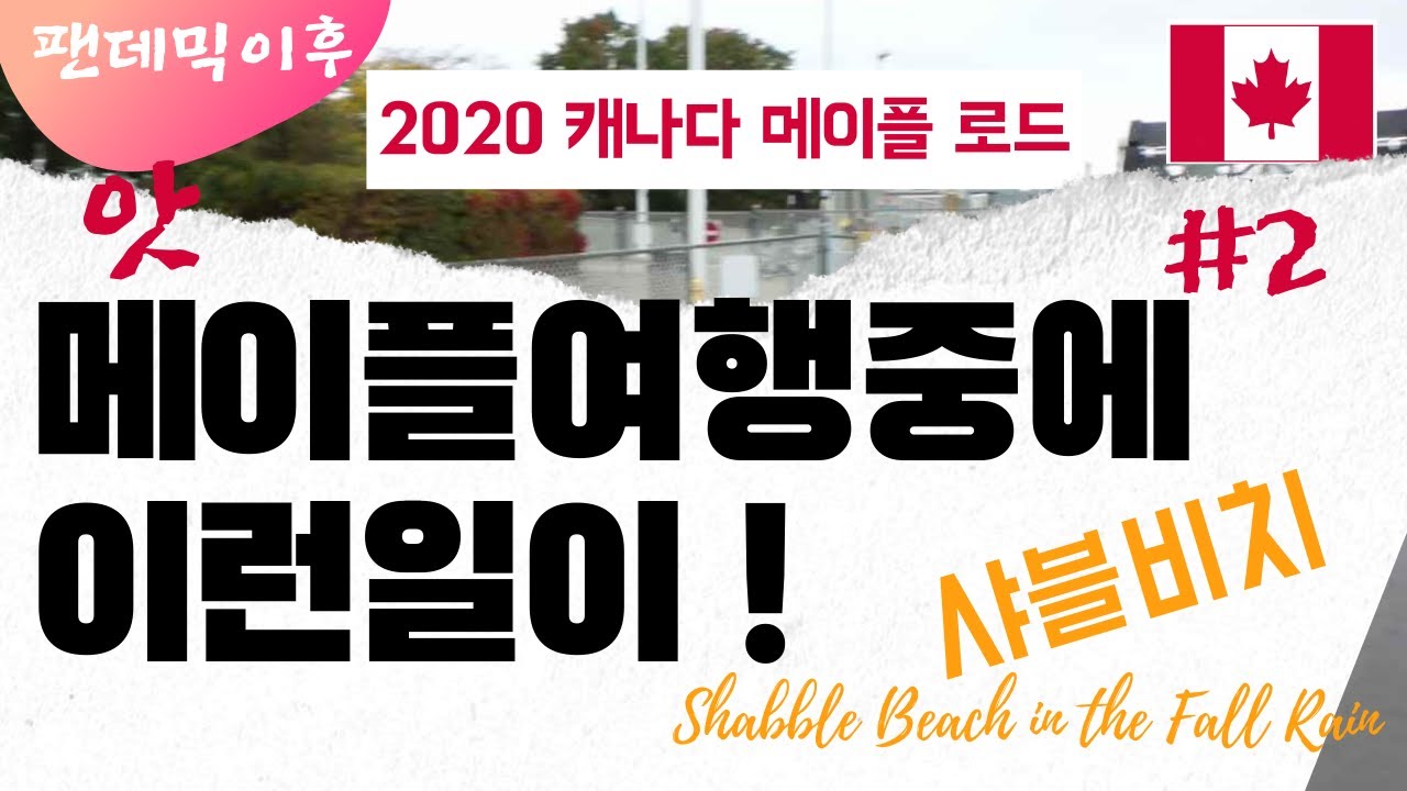 앗 메이플여행중에 이런일이 ! 가을비속의 샤블비치 #메이플여행중에이런일이#샤블비치 ...