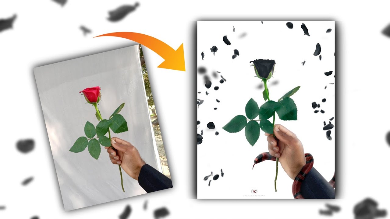 black rose crative photo editing || starofsk - YouTube