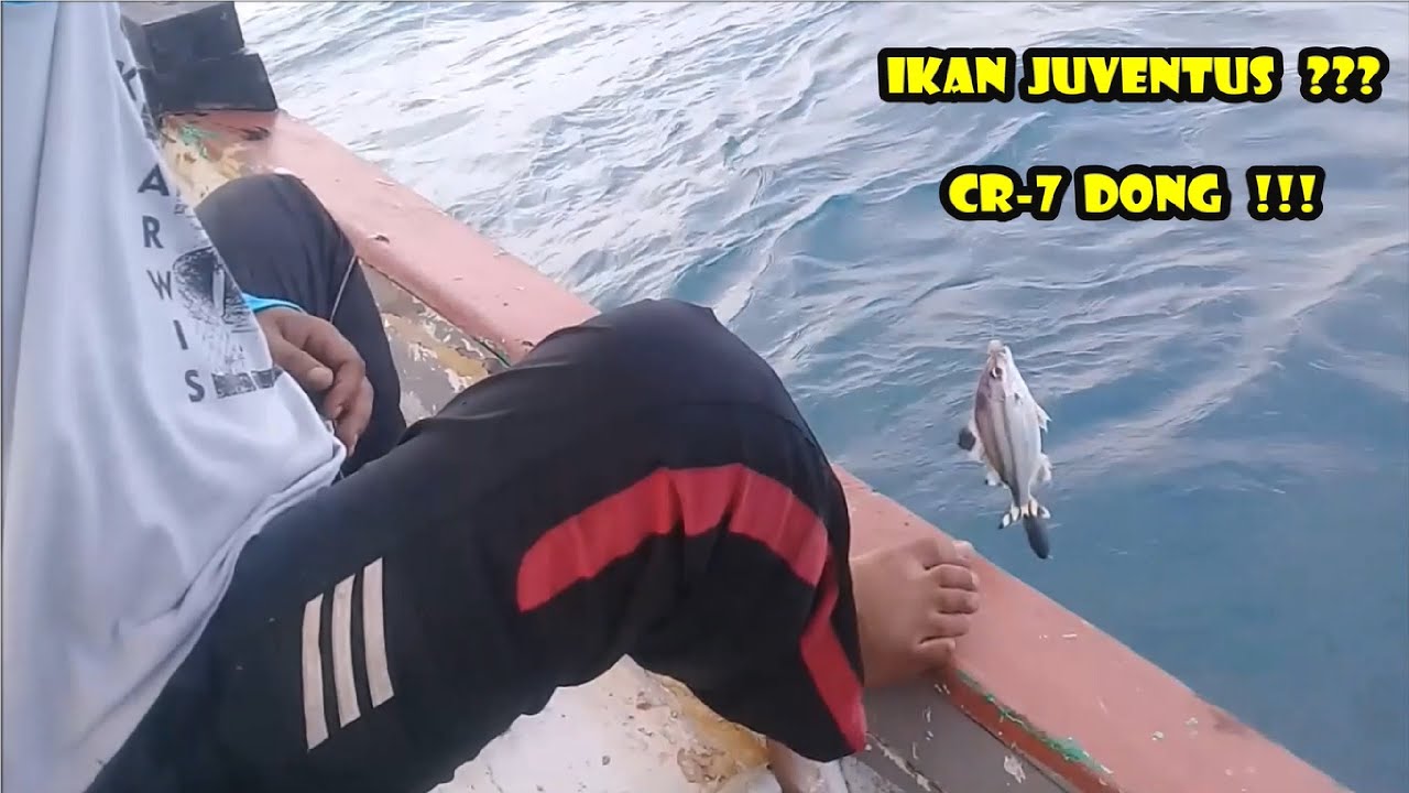 DAPAT IKAN JUVENTUS DAN IKAN KEMBUNG BETELOK SAAT MANCING DASARAN ...