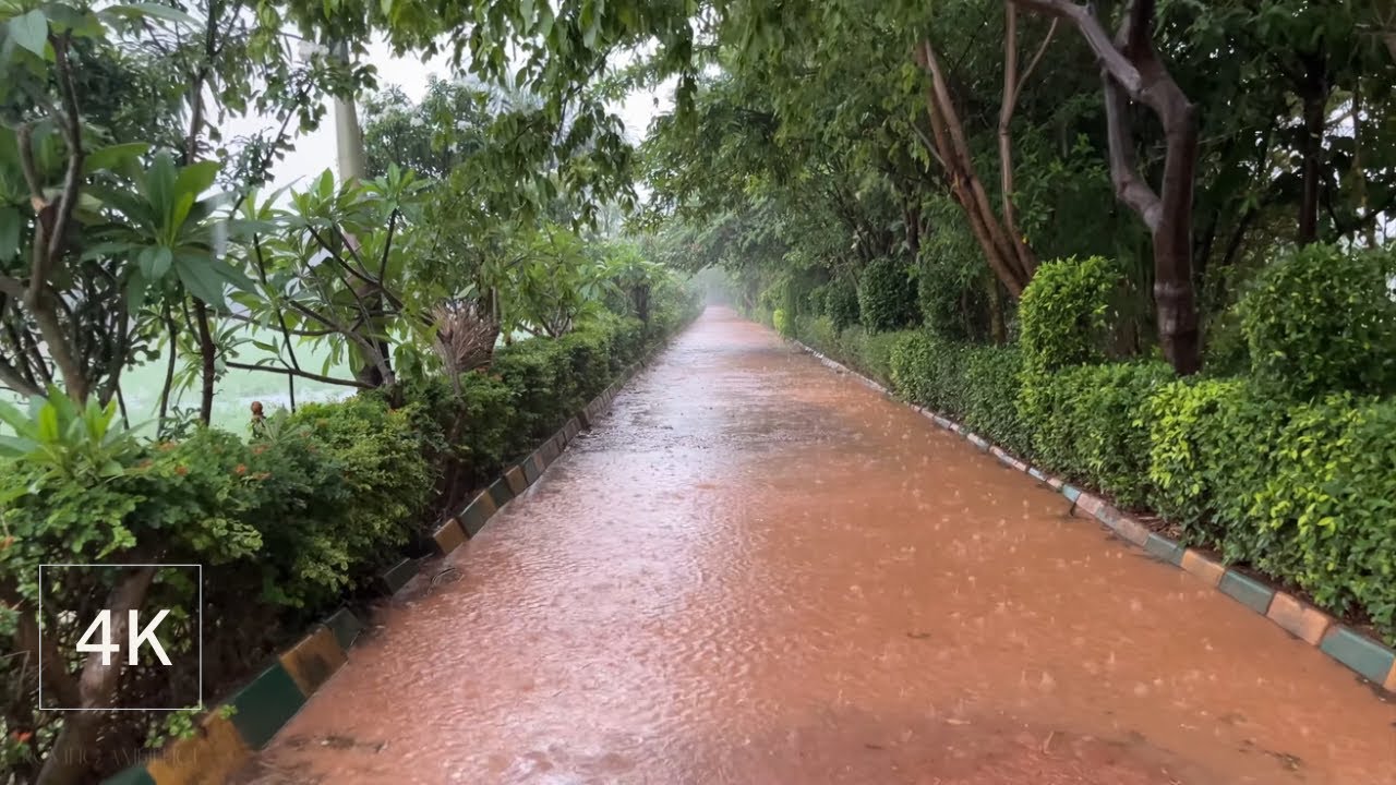 Refreshing Walk in Heavy Rain through Muddy Path | Park during Heavy ...