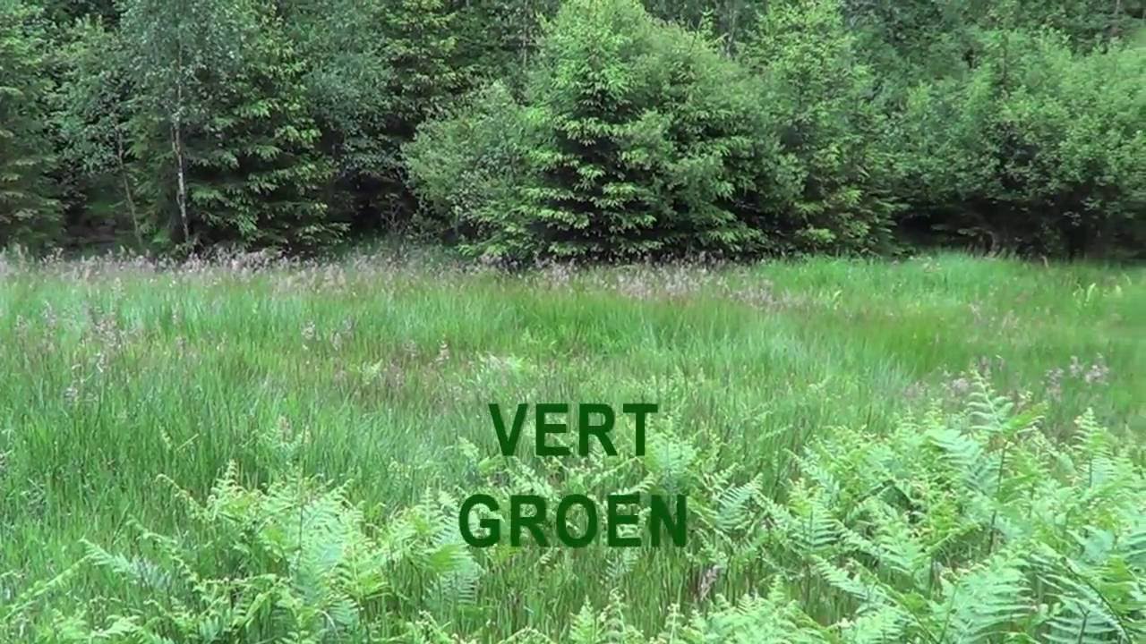 vert - YouTube