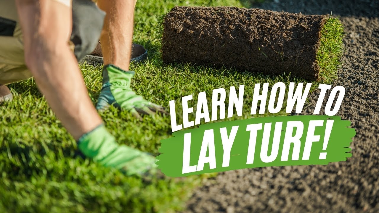How To Lay Turf [Quick Guide] - YouTube