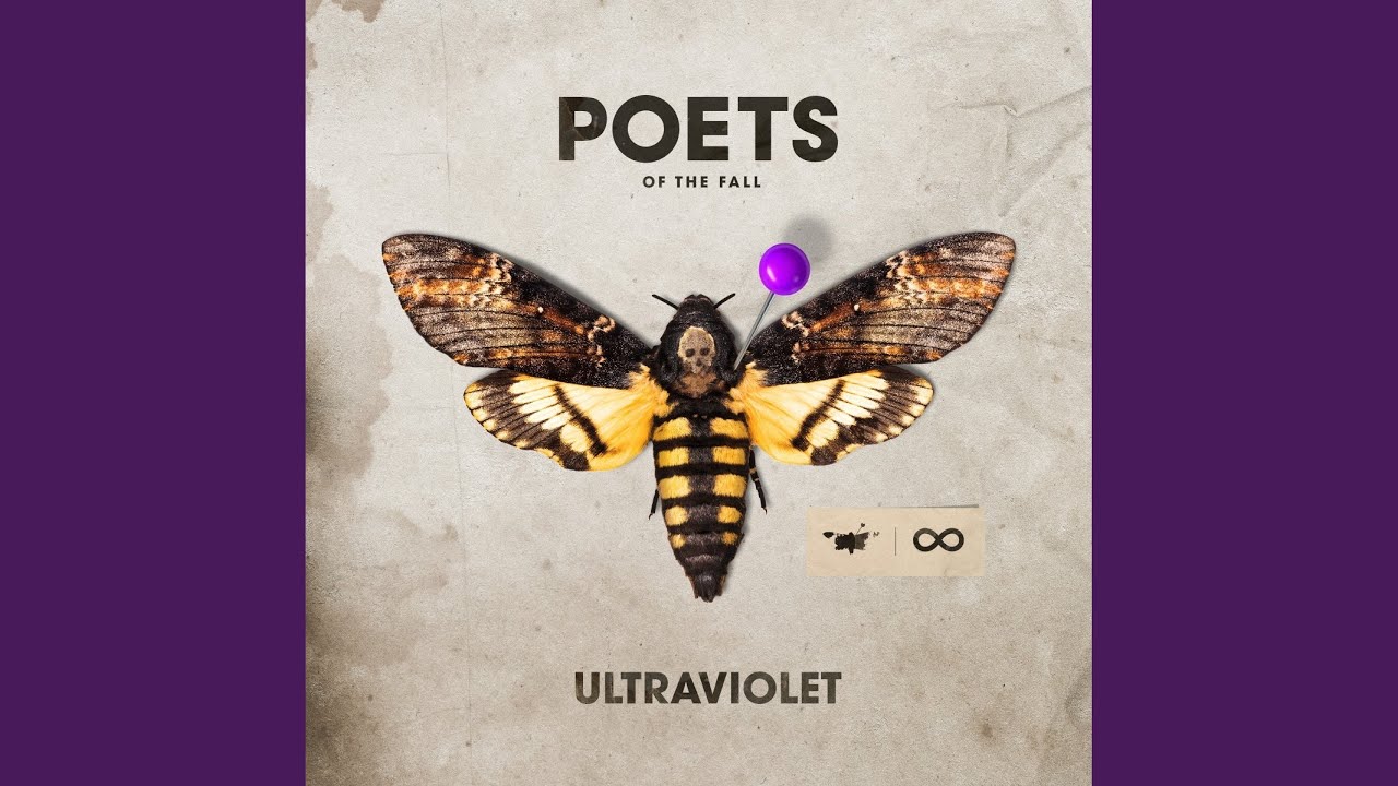 In a Perfect World - YouTube