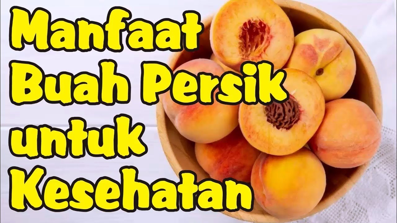 Manfaat Buah Persik Untuk Kesehatan Youtube