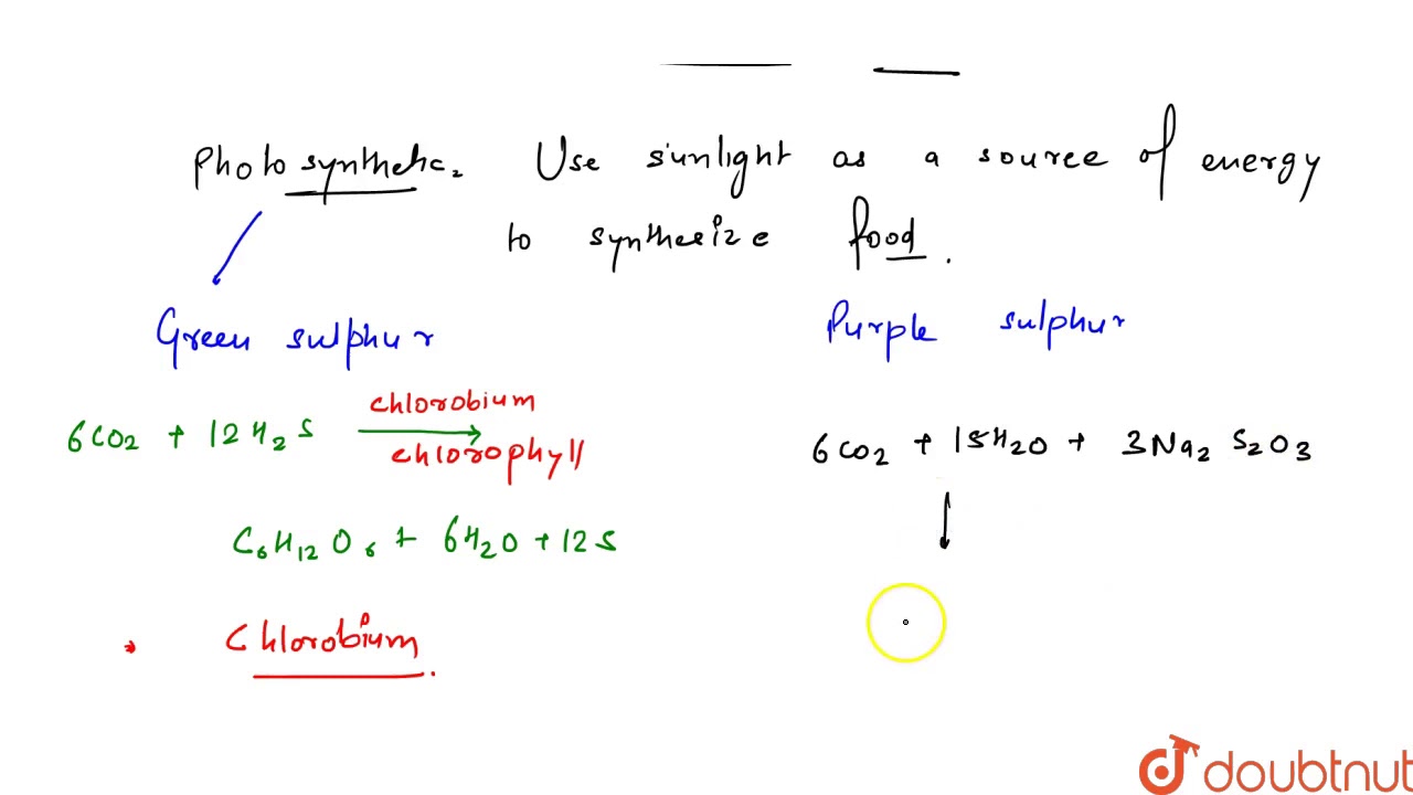Chemosynthesis Equation