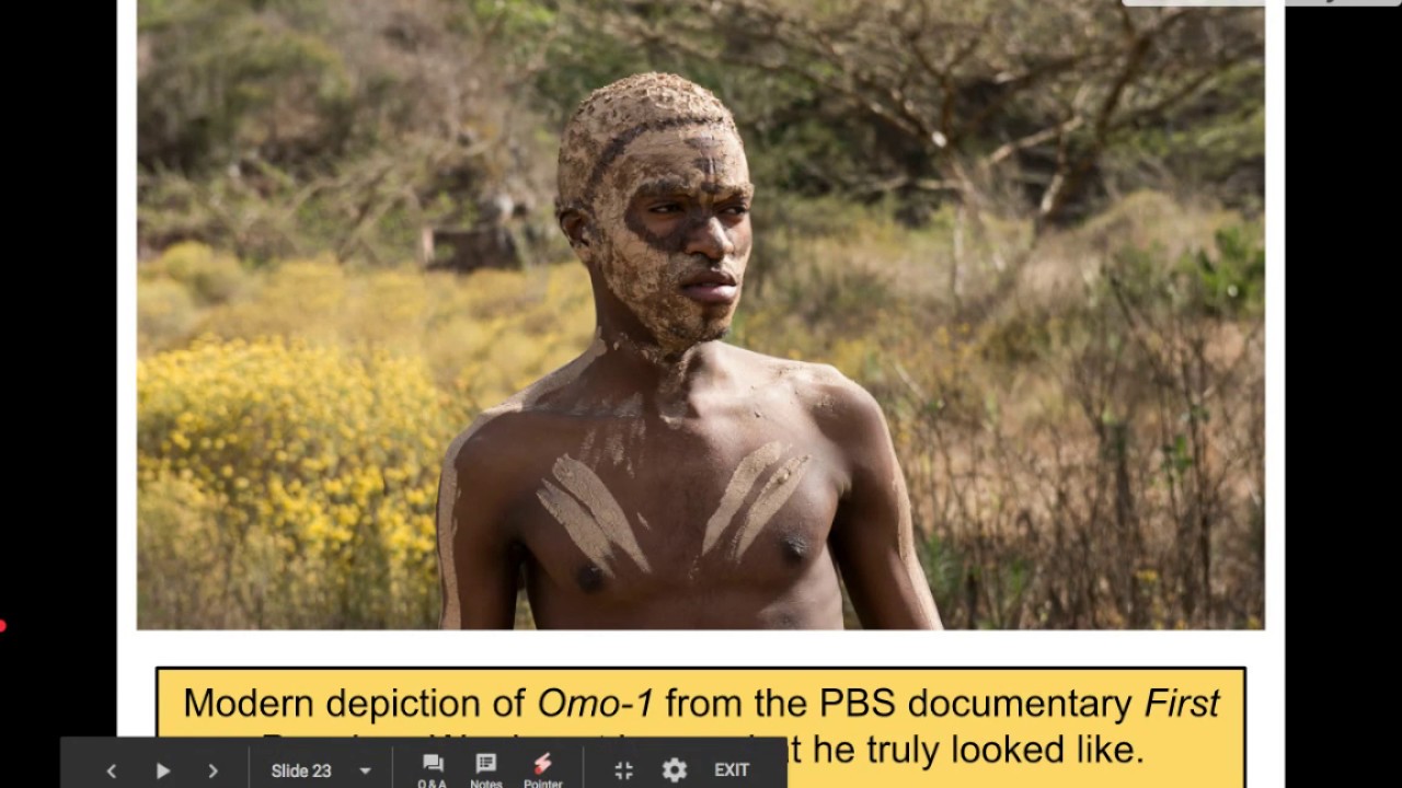 Omo 1 and the Out of Africa Theory - YouTube