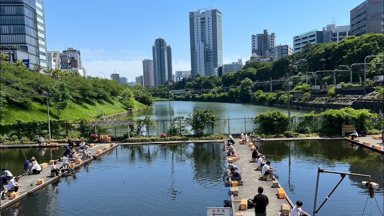 Persona 5 Real Life Fishing At Ichigaya Tokyo (May 2022) - YouTube