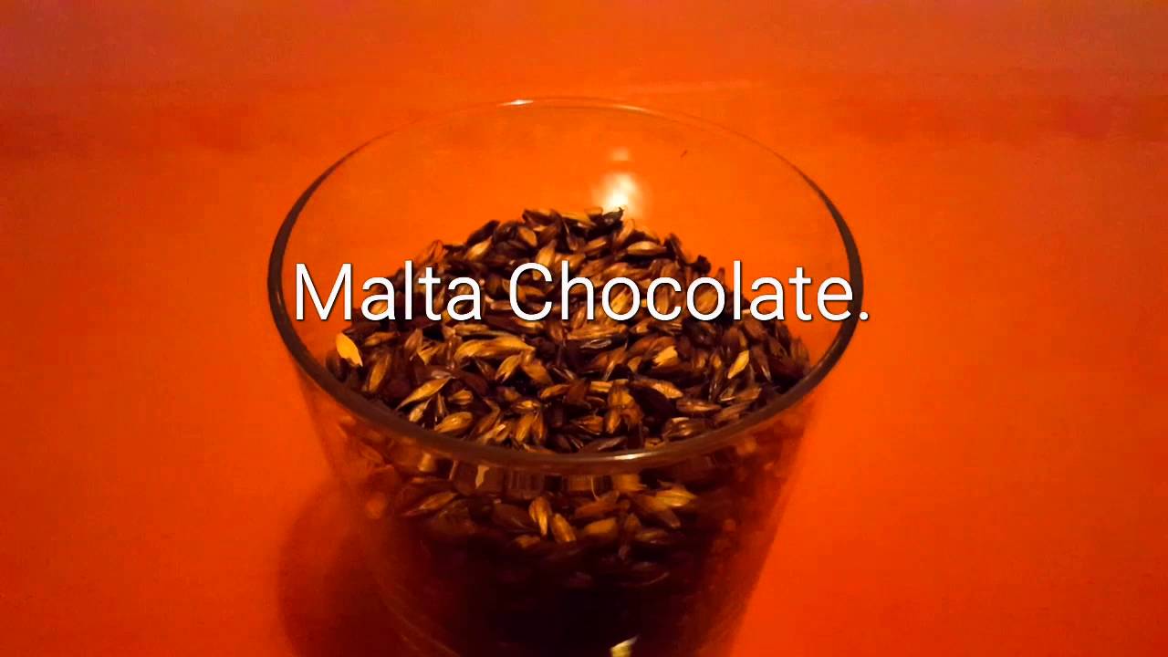Malta de cebada Casera. - YouTube