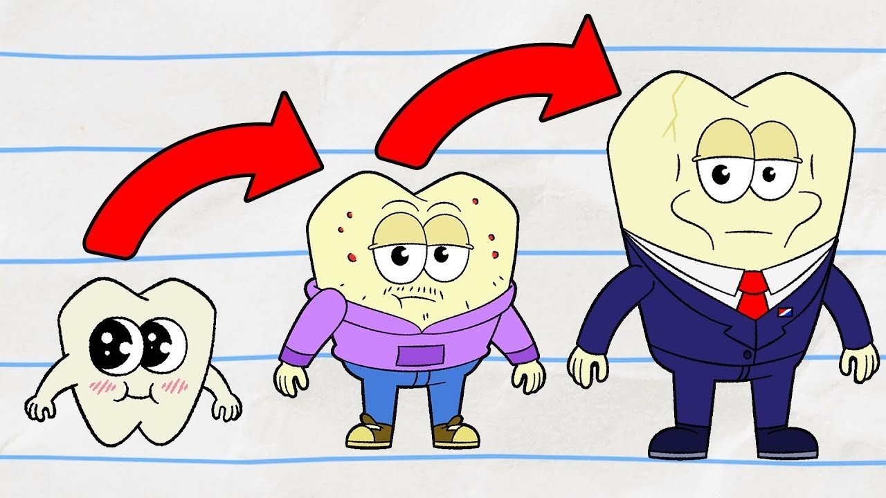 TOOTH LVLS UP | Boy & Dragon | Cartoons For Kids | Wildbrain Toons ...