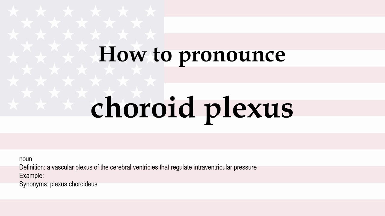 How to pronounce 'choroid plexus' + meaning - YouTube