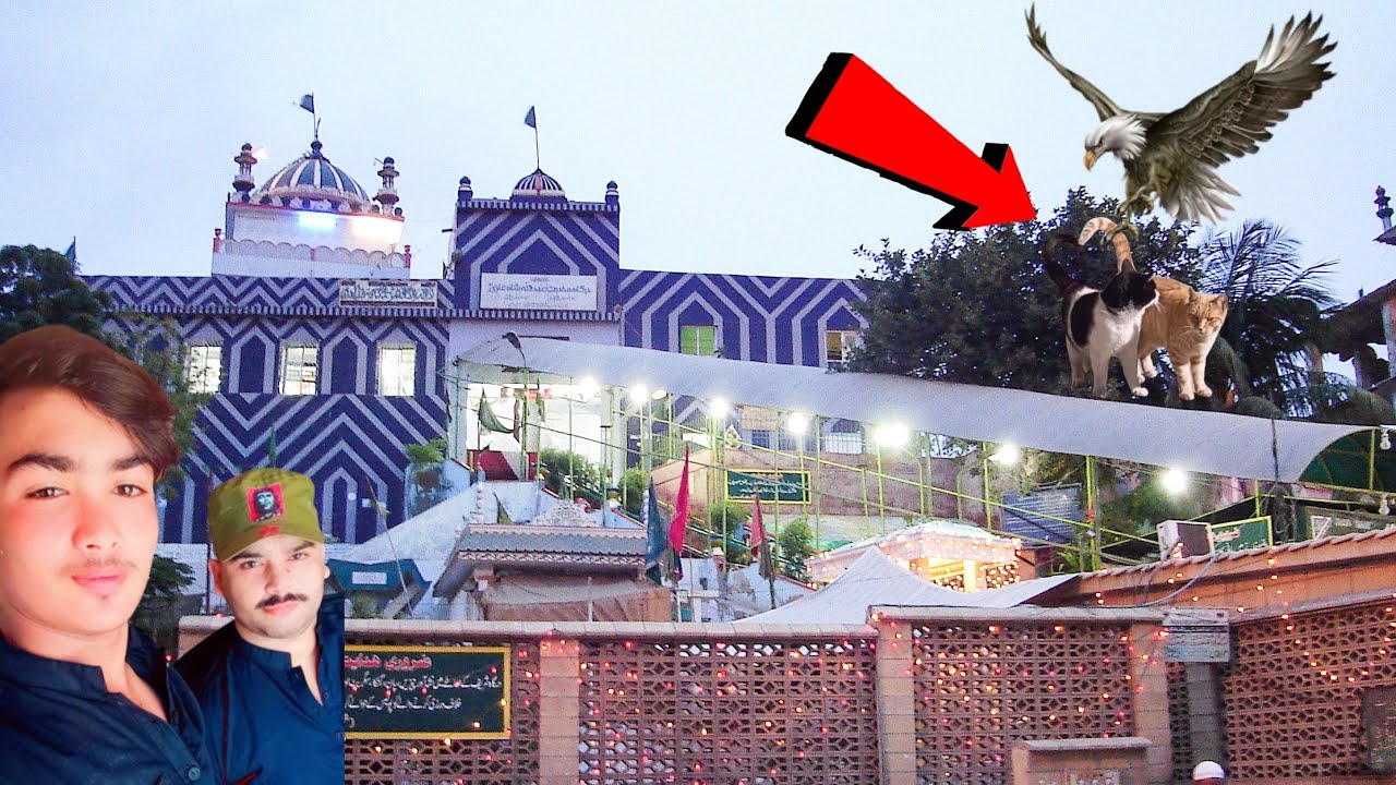 Abdullah shah ghazi Vlogs Karachi l 🤲🥰 #tanhanadeemvlogs #2023 عبداللہ شاہ غازی Vlogs کراچی ...