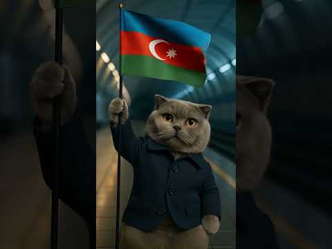 Çiko Azerbaycan bayrağını gururla taşıyor ❤️🧿 #azerbaycan #azerbaijan #cat #flag  #baku