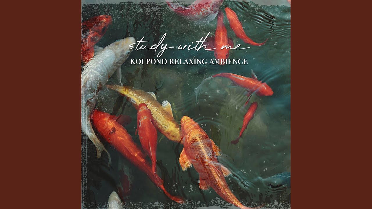 Koi Pond Relaxing Ambience, Pt. 18 - YouTube