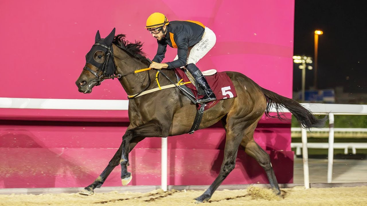 RM 12 Al Rayyan Race 4 - Doha Cup - YouTube