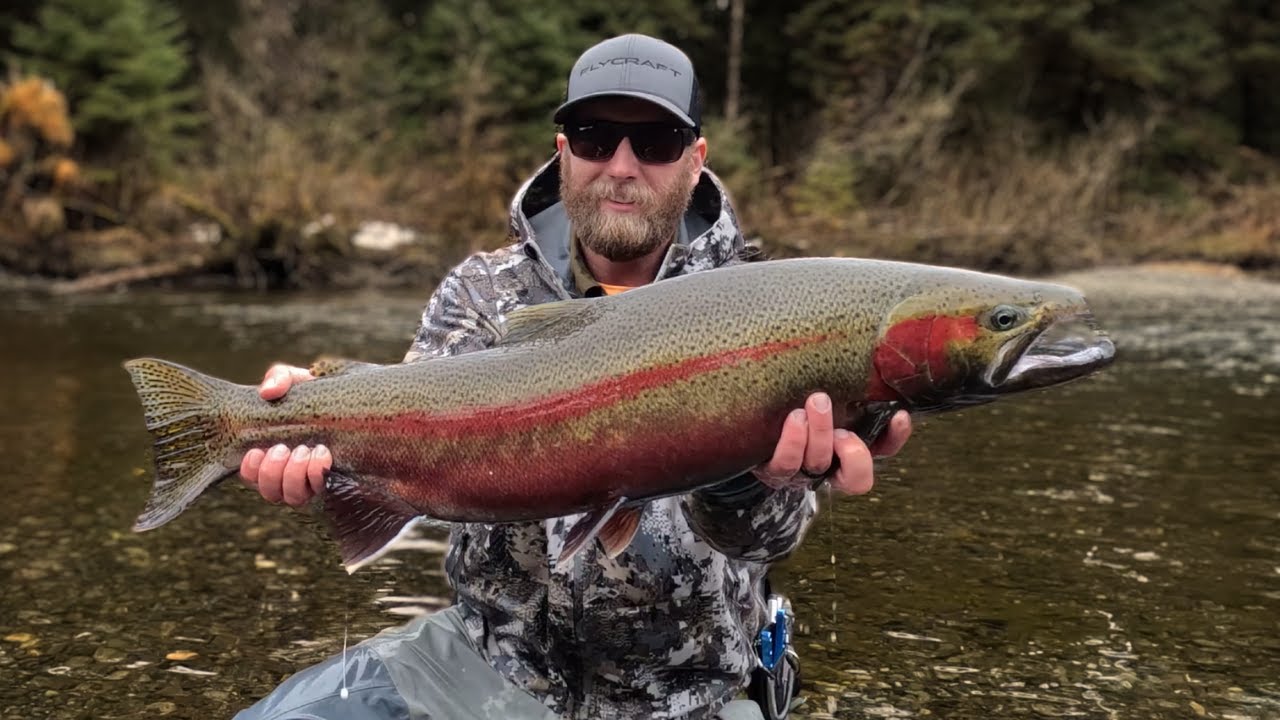 Fishing for big steelhead: Mining Steel - YouTube