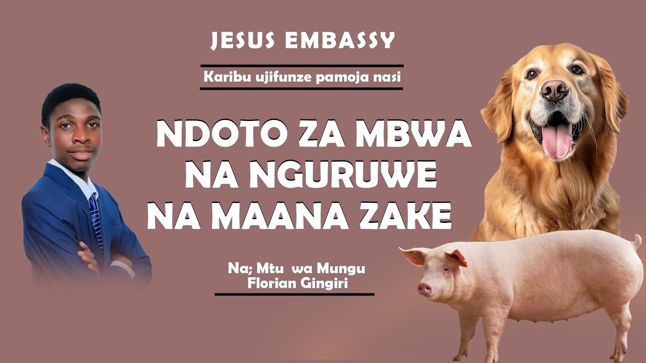 UKIOTA MBWA AU NGURUWE INAMAANA GANI ,MAANA ZAKE ZIPO MTU WA MUNGU ...