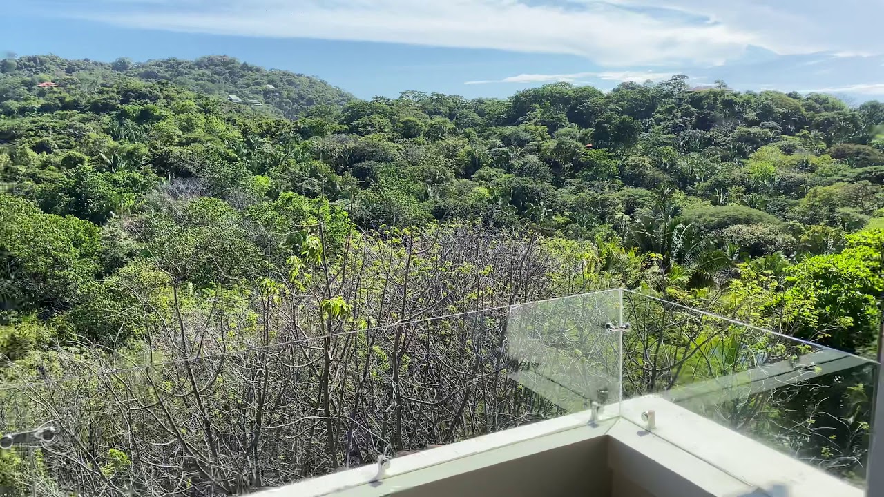 Yoga Retreat with Rod Stryker - Para Yoga - Costa Rica - YouTube