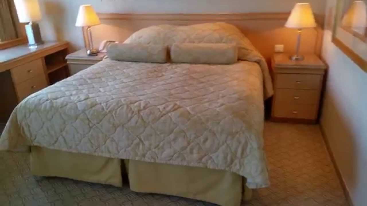 Window Suite F307 on Golden Princess - YouTube