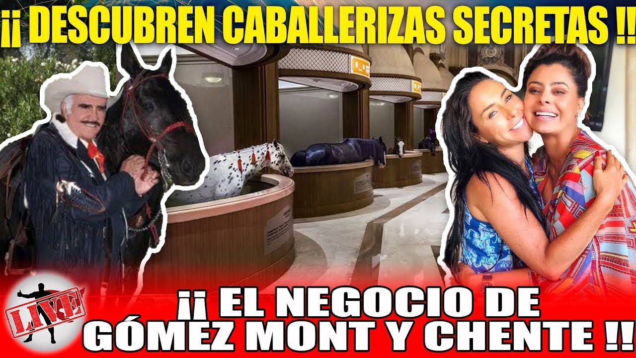 Entran a Rancho De Famosa De Azteca y Televisa y Descubren Caballerizas ...