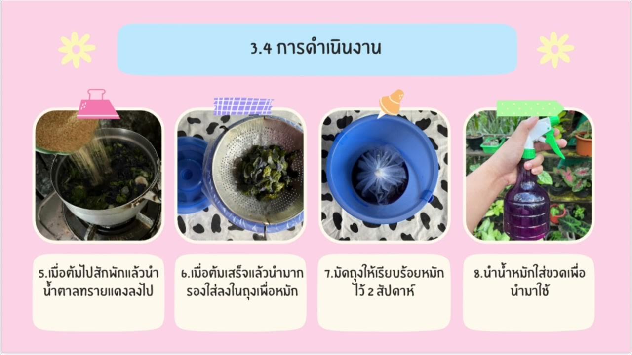 โครงงาน น้ำยาเช็ดกระจกจากดอกอัญชันและมะกรูด Youtube