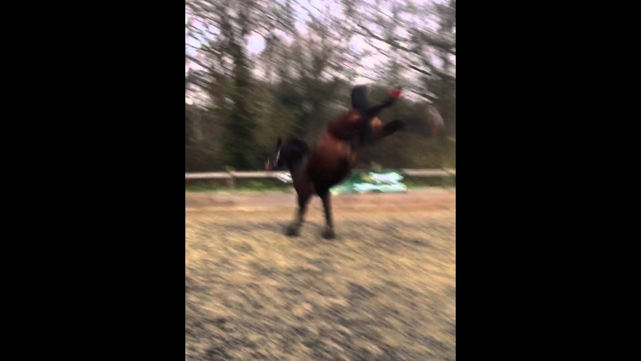 Broncing buckeroo - YouTube