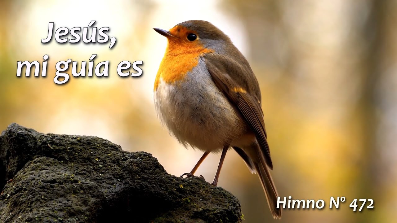 Jesús, mi guía es Himno 472 - YouTube