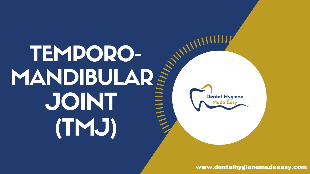 Temporomandibular Joint (TMJ) - YouTube