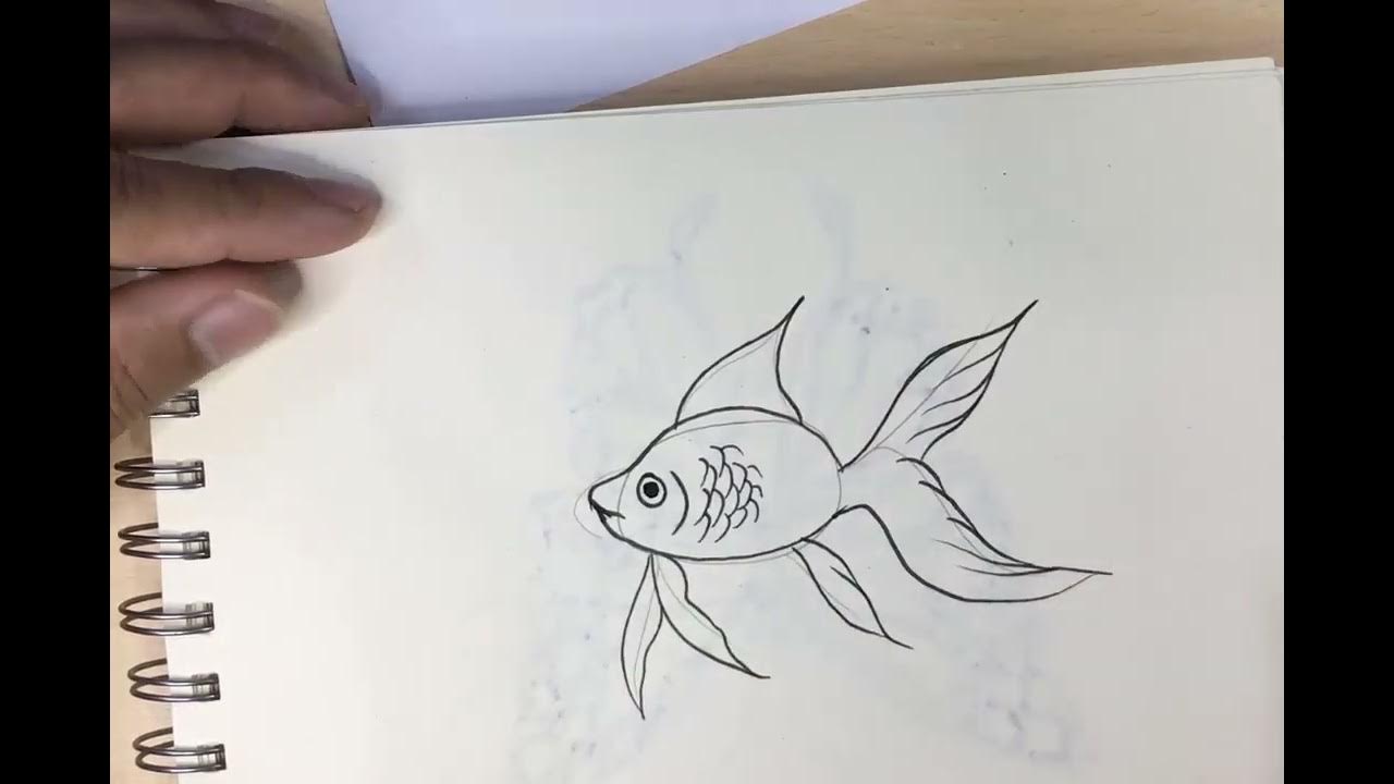 Drawing of simple fish - YouTube