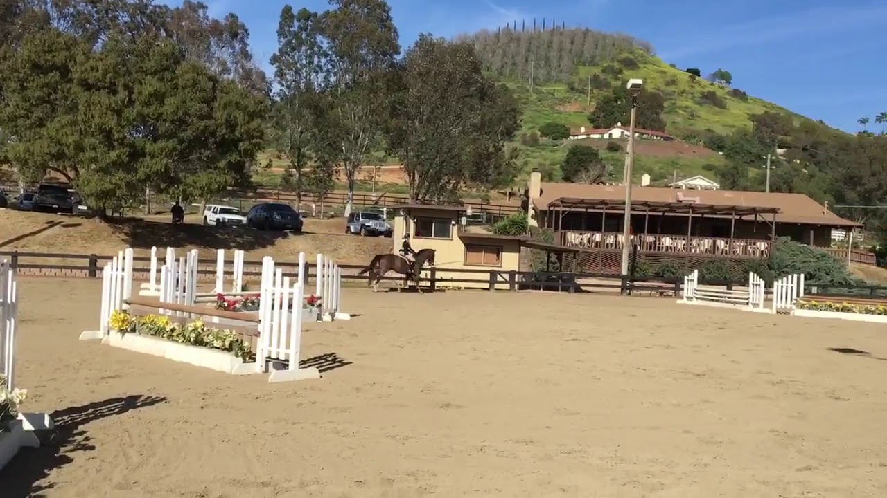 Winner GSDHJA Adult Medal - YouTube