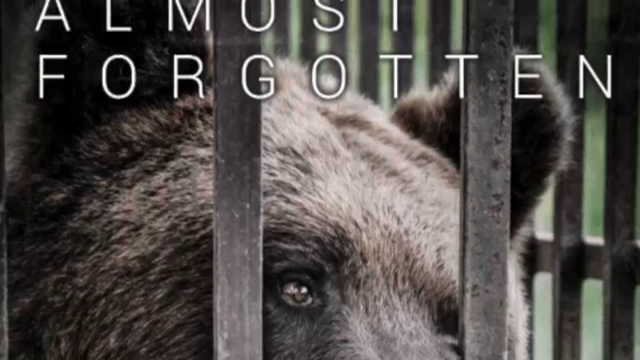'Almost Forgotten' Trailer - YouTube