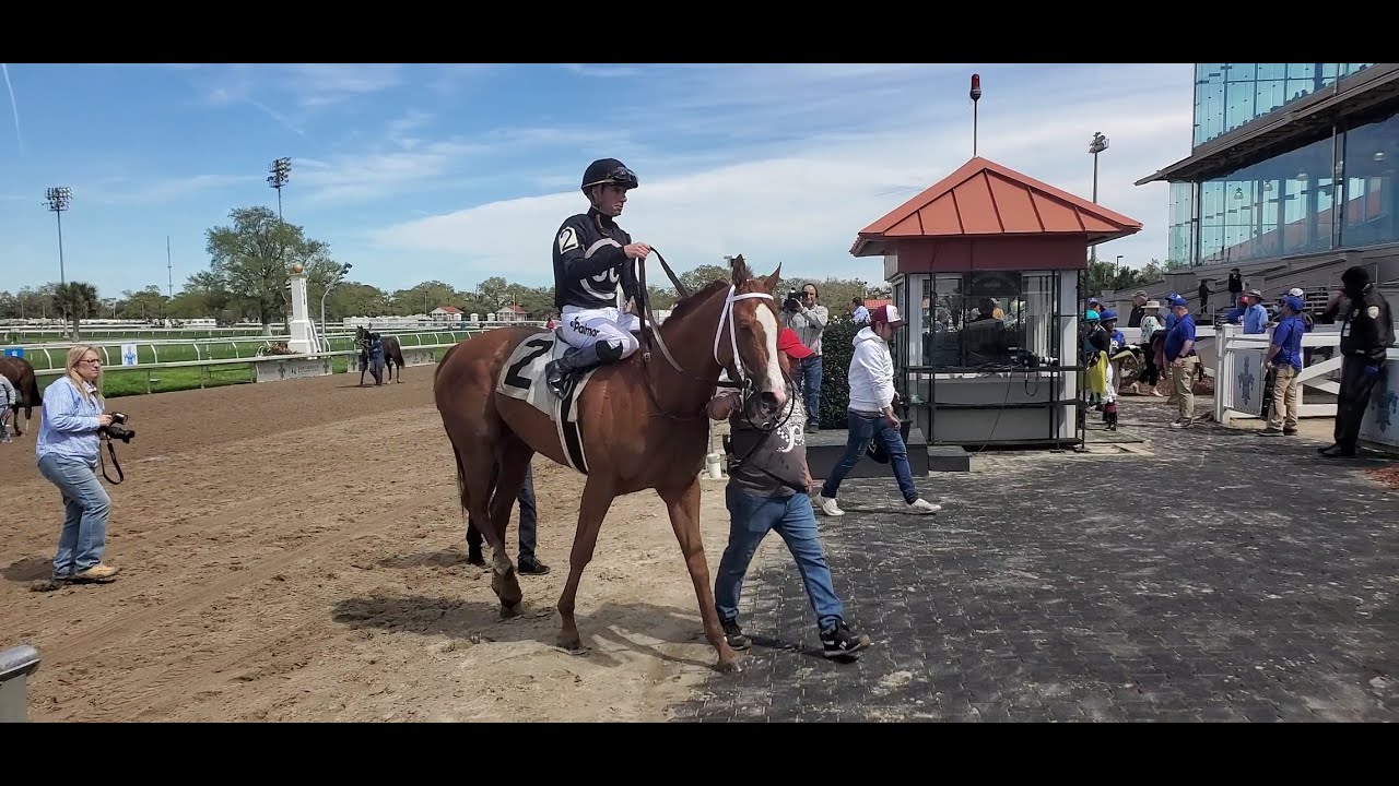 Kyle Beauty - YouTube