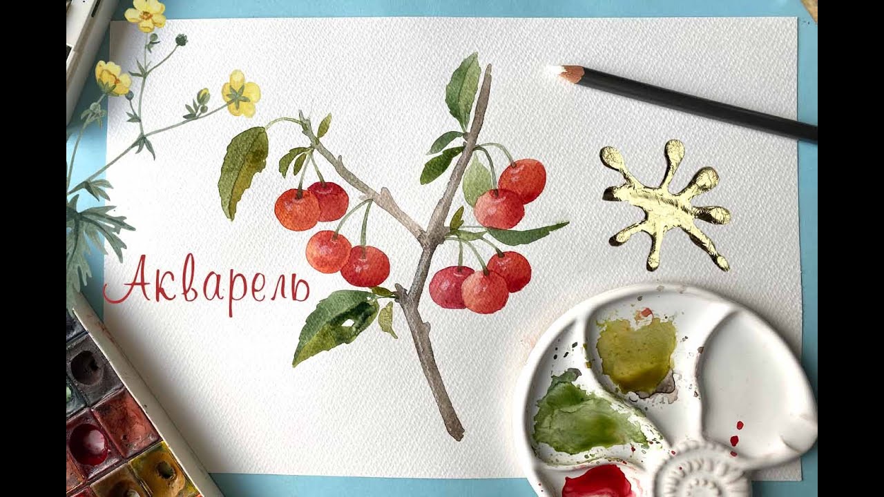 Как нарисовать вишни на ветке акварелью Акварель для начинающих Youtube