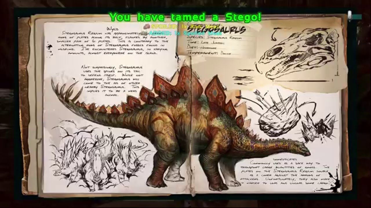 Taming: Stego F 1 - YouTube