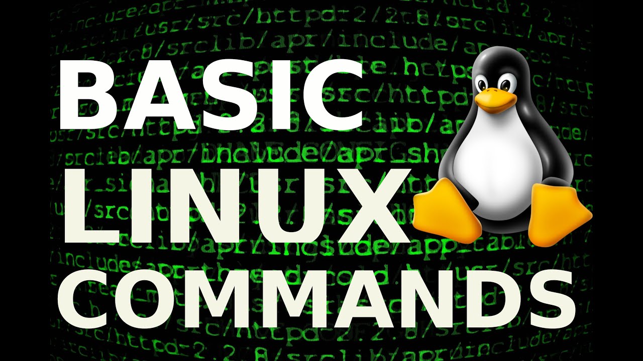 Basic Linux Commands For Absolute Beginners : Clear your concept in ...