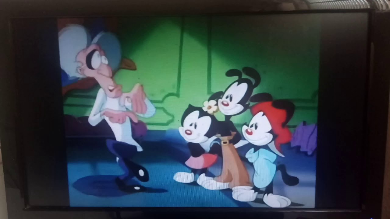 Animaniacs S01E03 De-Zanitized: Part 1 - YouTube