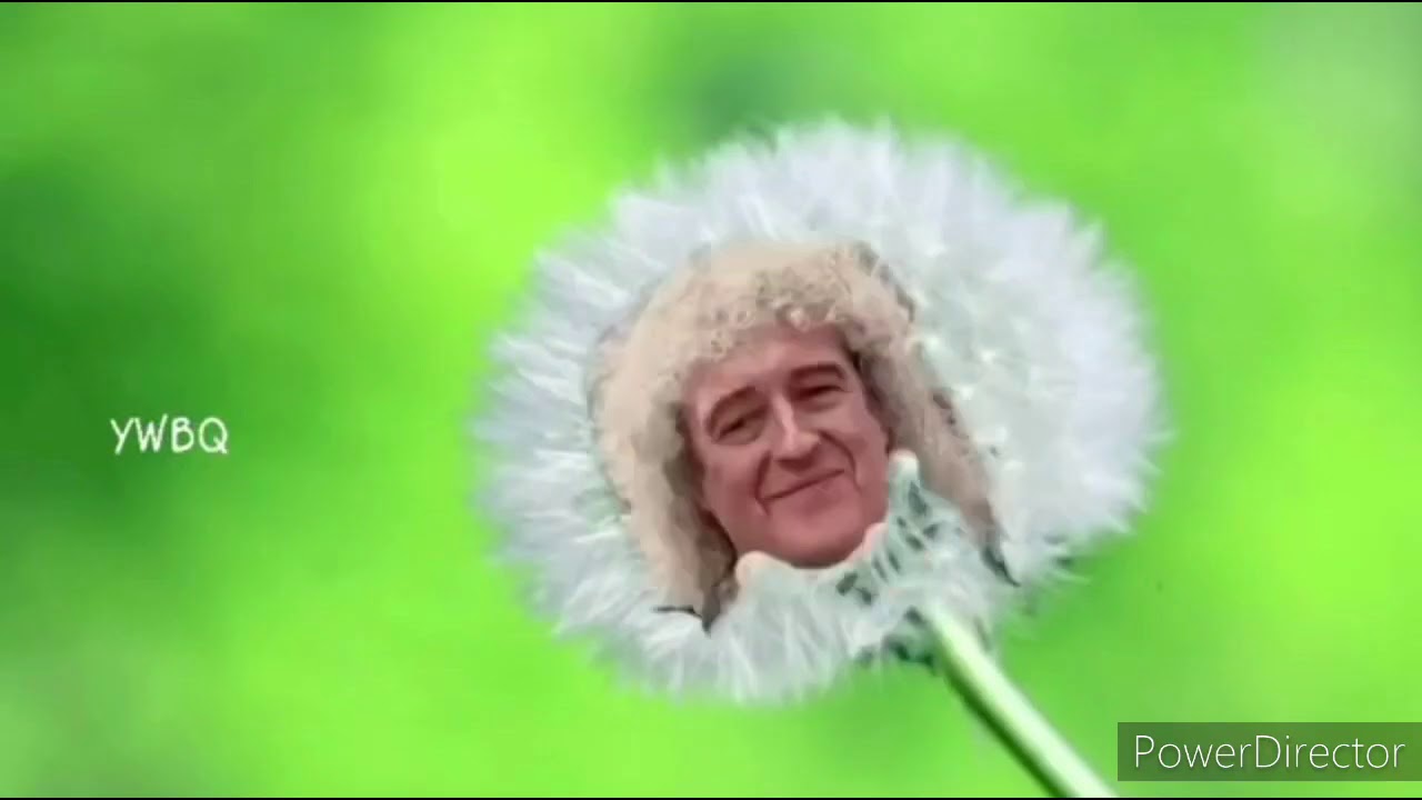 Random Queen Content - YouTube