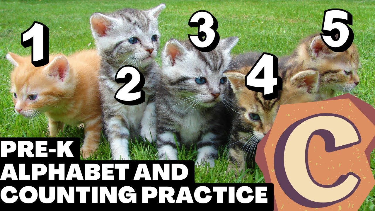 Alphabet and Counting for Toddlers: Learn the Alphabet with Adorable ...