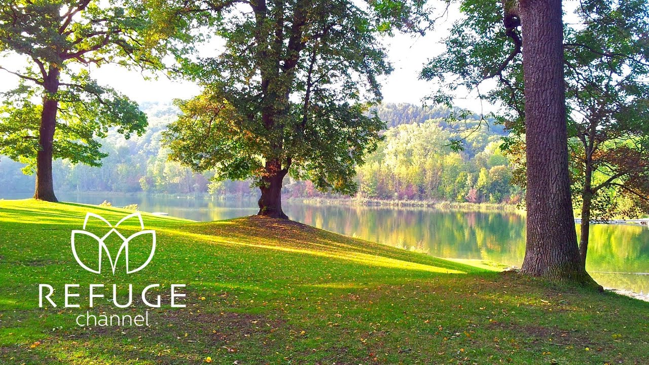 CALM MUSIC THAT SOOTHES THE SOUL AND HEALS ANXIETY - YouTube
