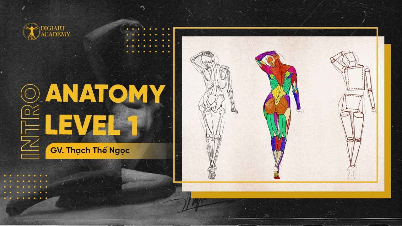 [𝐃𝐈𝐆𝐈𝐀𝐑𝐓 𝐀𝐂𝐀𝐃𝐄𝐌𝐘] – INTRO KHOÁ HỌC ANATOMY LEVEL 1 - YouTube